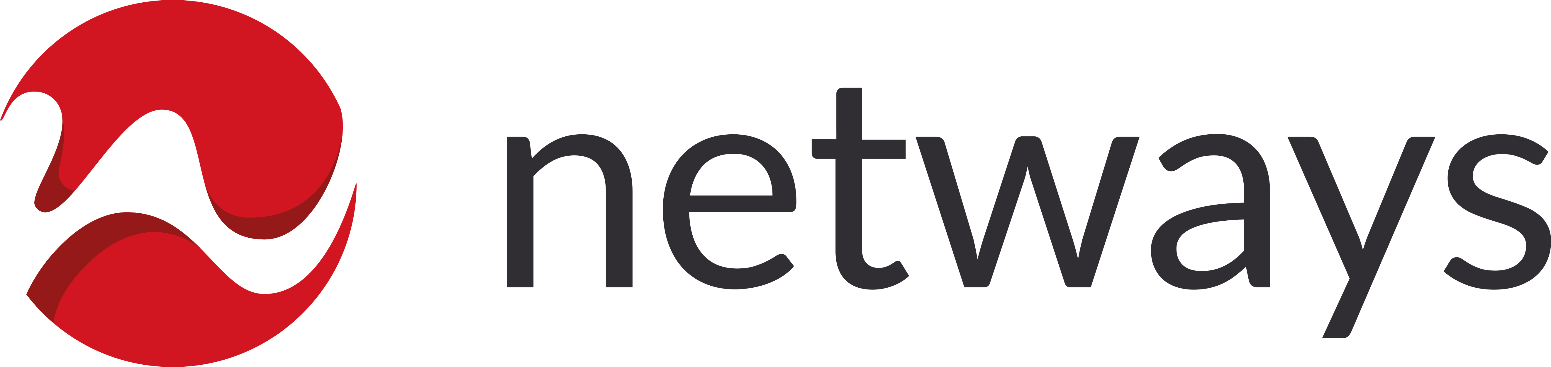 Netways :: Qatar Charity Case Study